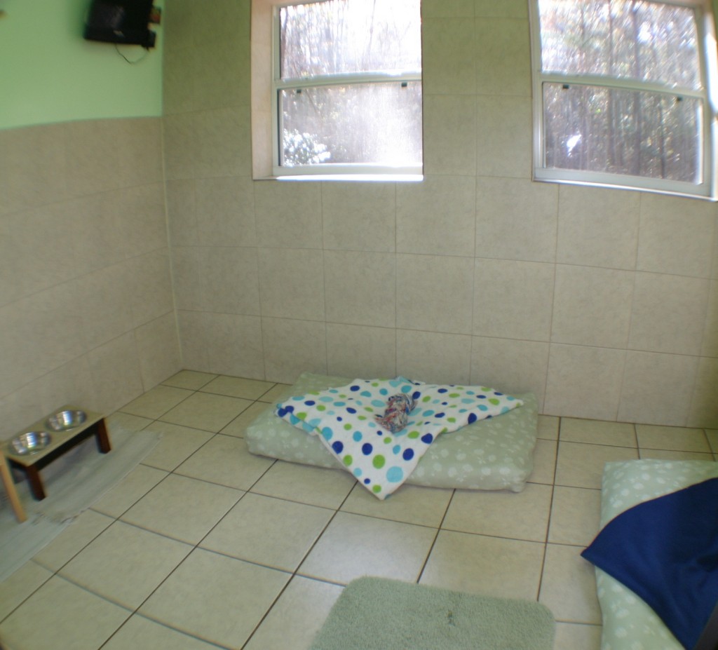 Rates – Divine Dog Hotel – Tallahassee – Havana – Capital Area Dog Hotel