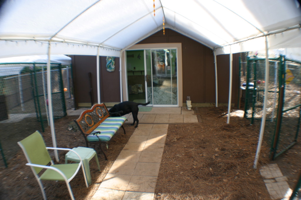 Suites – Divine Dog Hotel – Tallahassee – Havana – Capital Area Dog Hotel